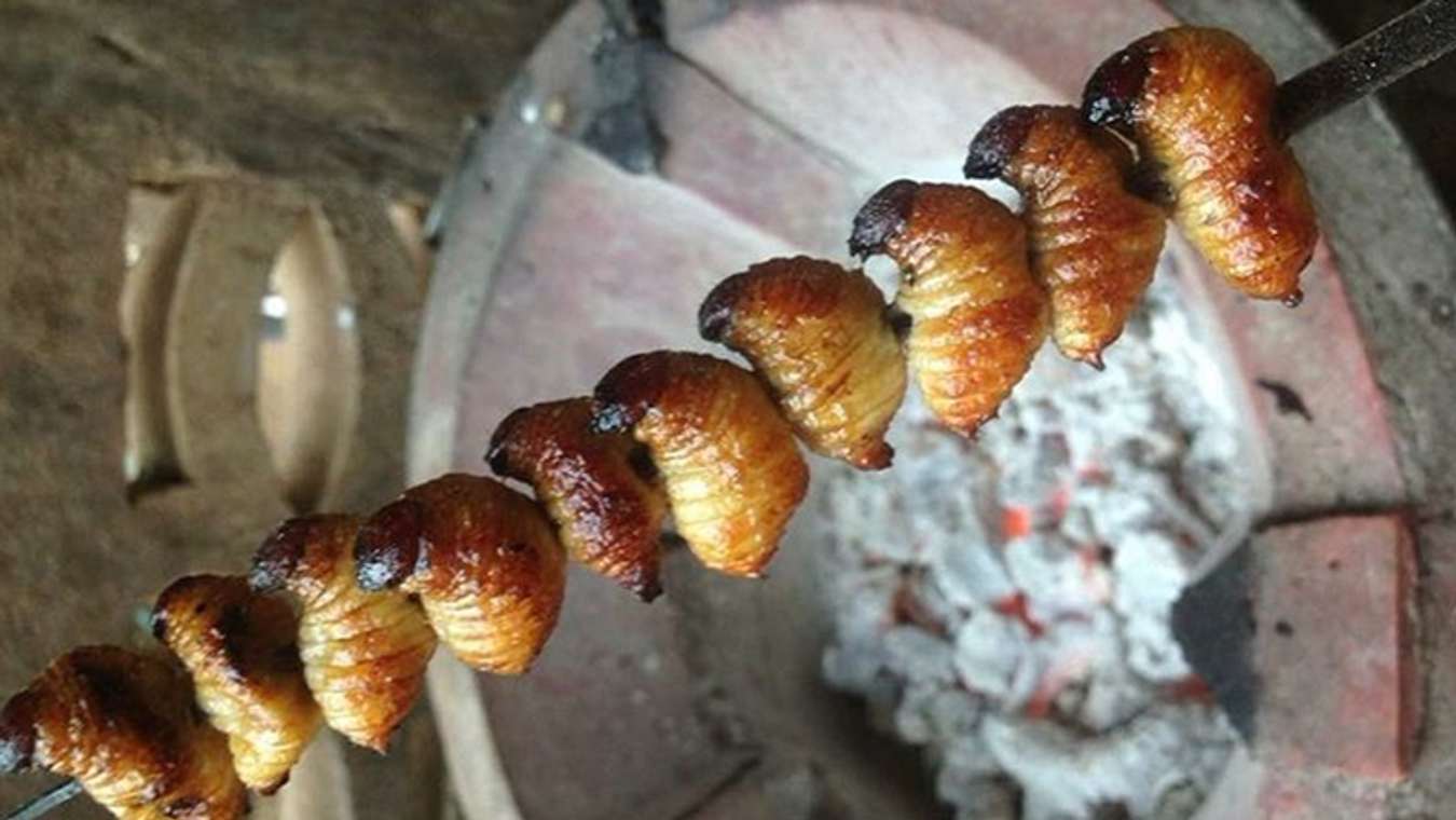 9 Makanan Khas Papua dengan Cita Rasa Unik