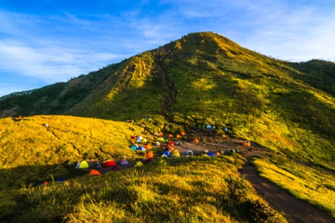 10 Cagar Biosfer di Indonesia dan Keindahannya