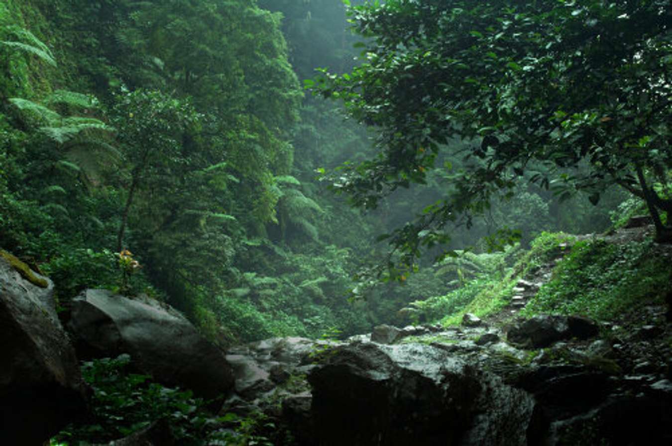 9 Rekomendasi Wisata Curug di Bogor