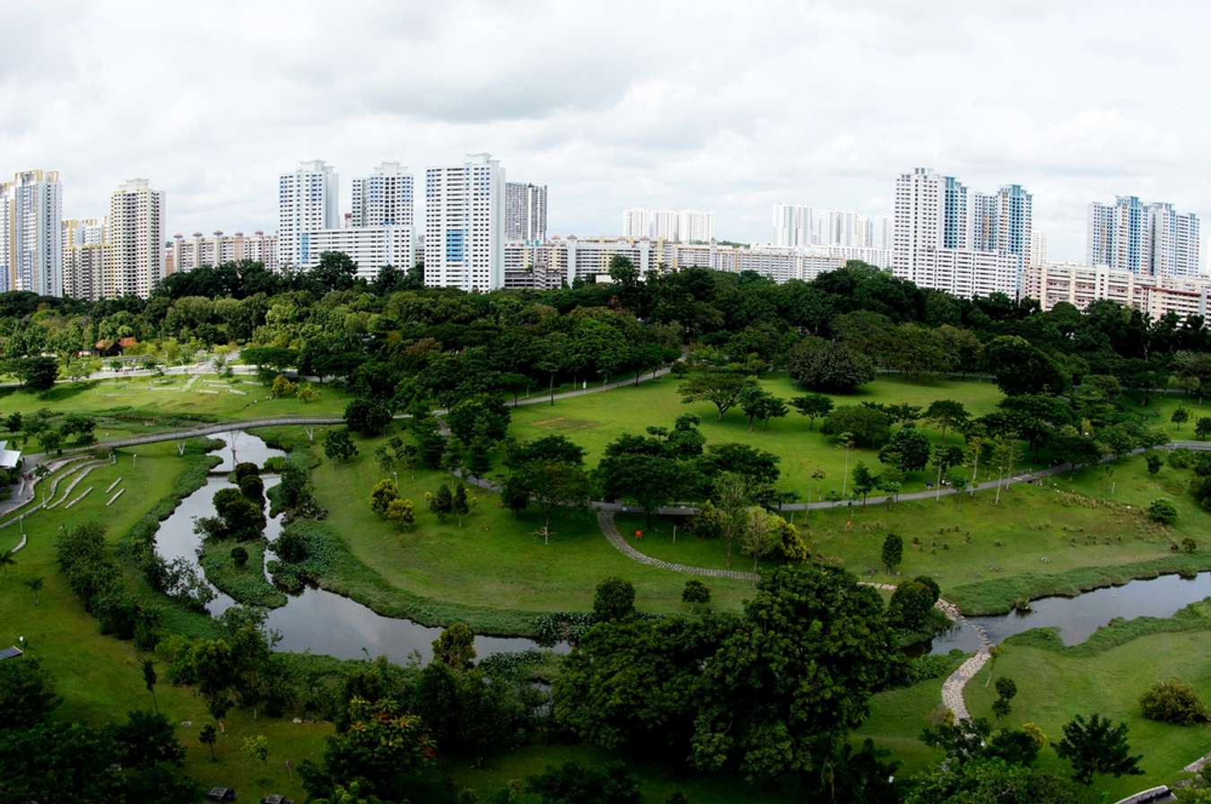 12 Parks in Singapore for Your Greenery and Scenic Dose