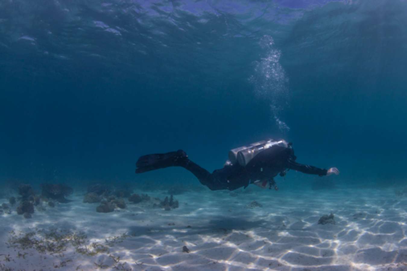 Mengenal Tipe Diving dan Perbedaannya