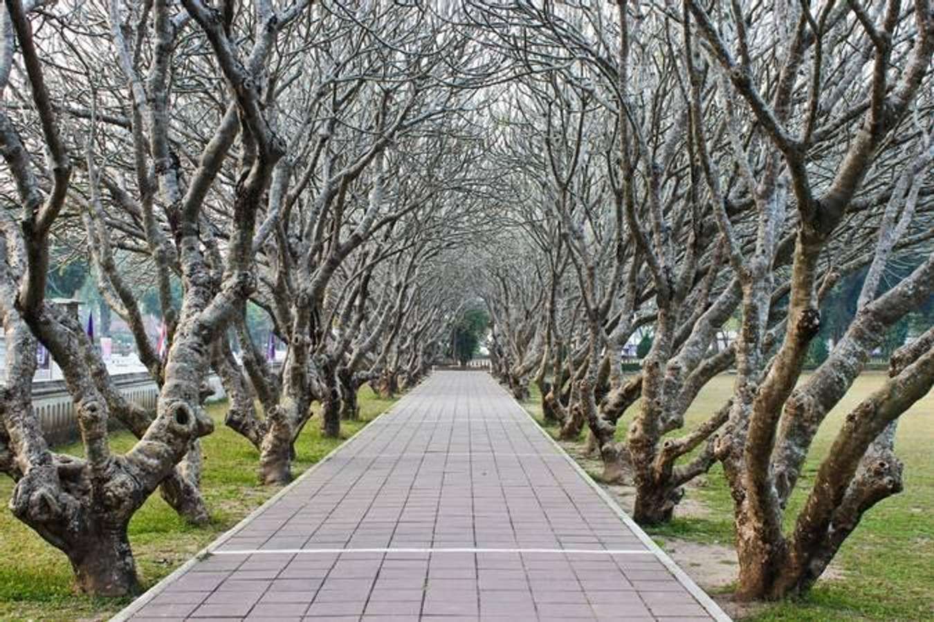 Review Nan trip. Travelling in Nan, road trip style.