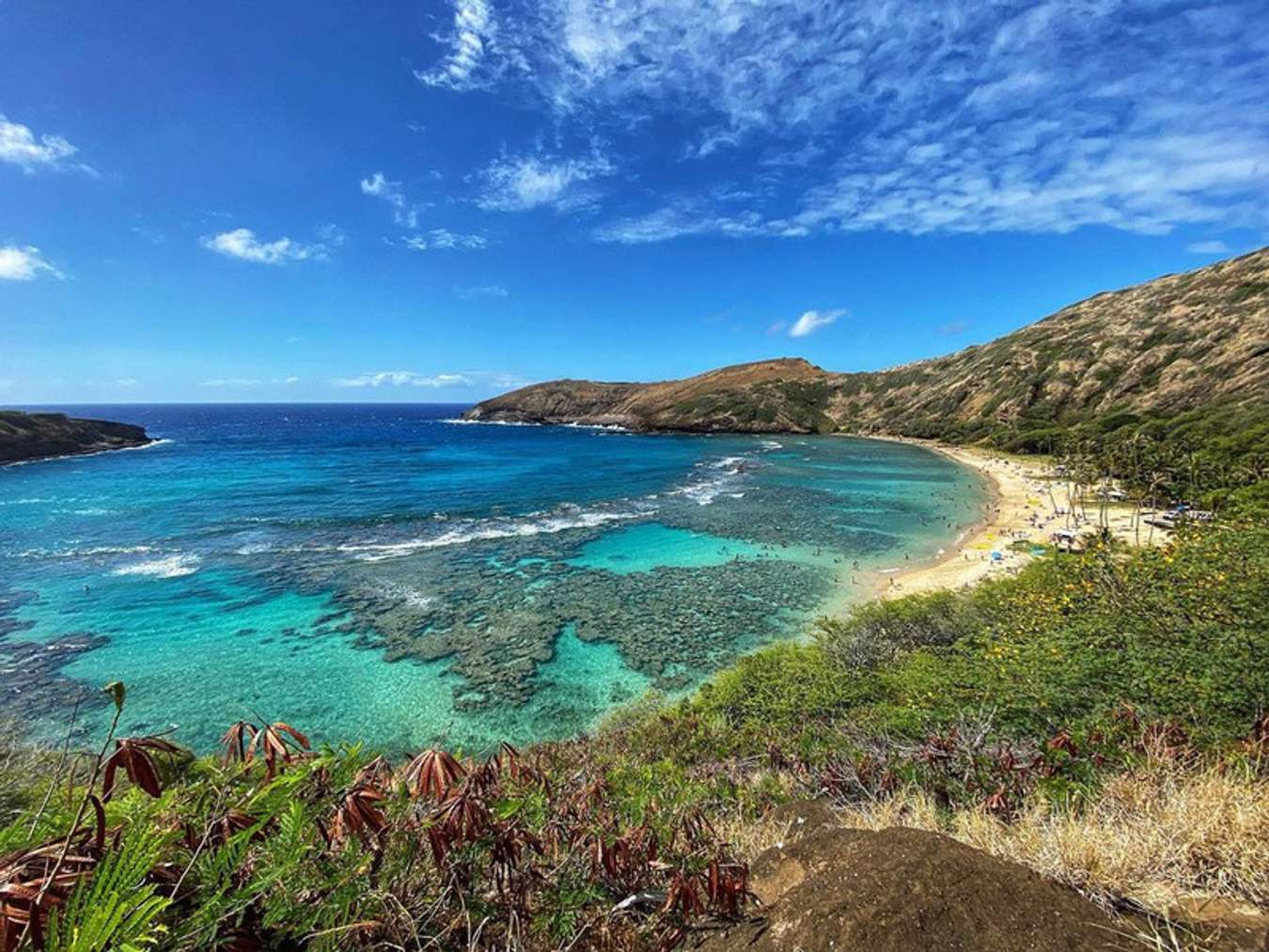 Kinh nghiệm du lịch Hawaii mới nhất, chi tiết từ A - Z