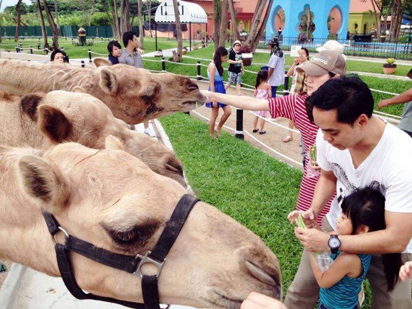 พาไปส่องที่เที่ยว 17 จังหวัดนำร่อง มีที่ไหนโดนใจน่าไปบ้าง พาร์ท 2