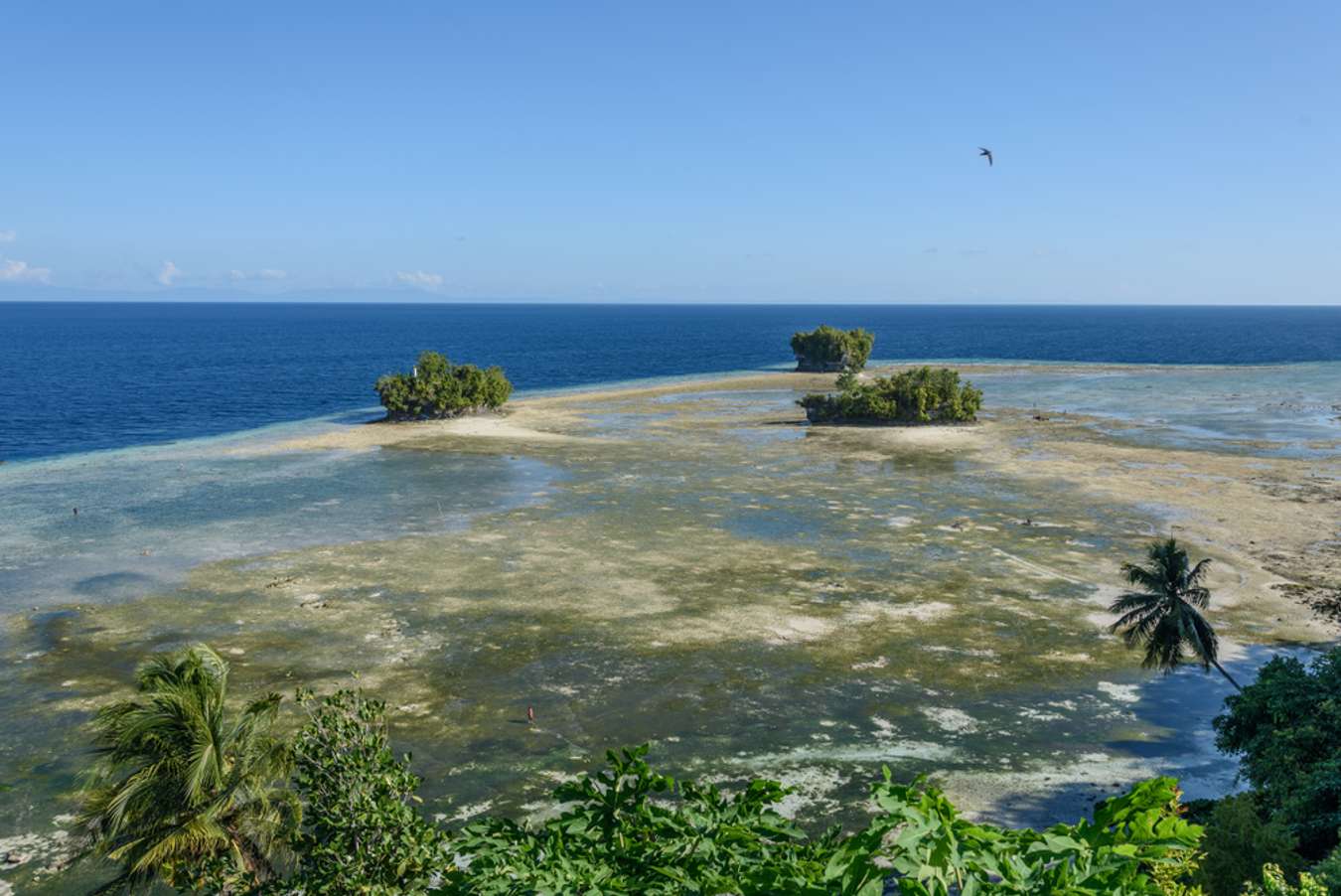 9 Rekomendasi Destinasi Wisata di Biak Numfor Terbaik