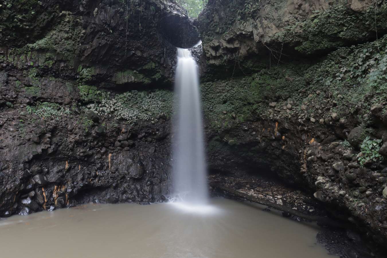 Menjelajahi Keindahan Taman Hutan Raya Ir. H. Djuanda di Bandung
