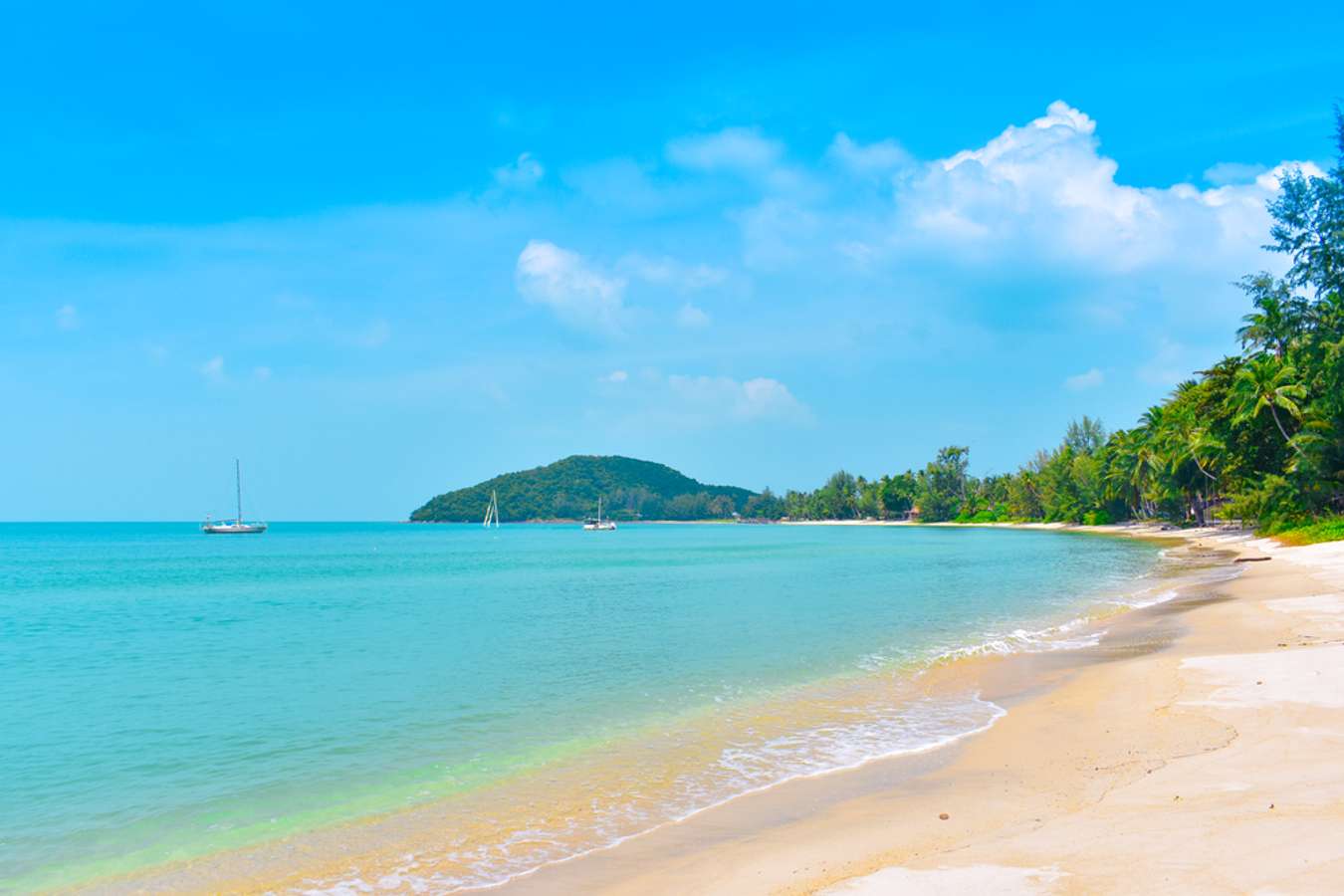 Samui COVID-19 Tourist Guide Update