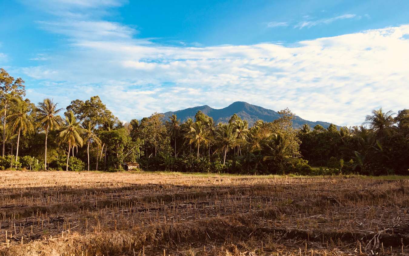 8 Rekomendasi Wisata Alam di Lampung