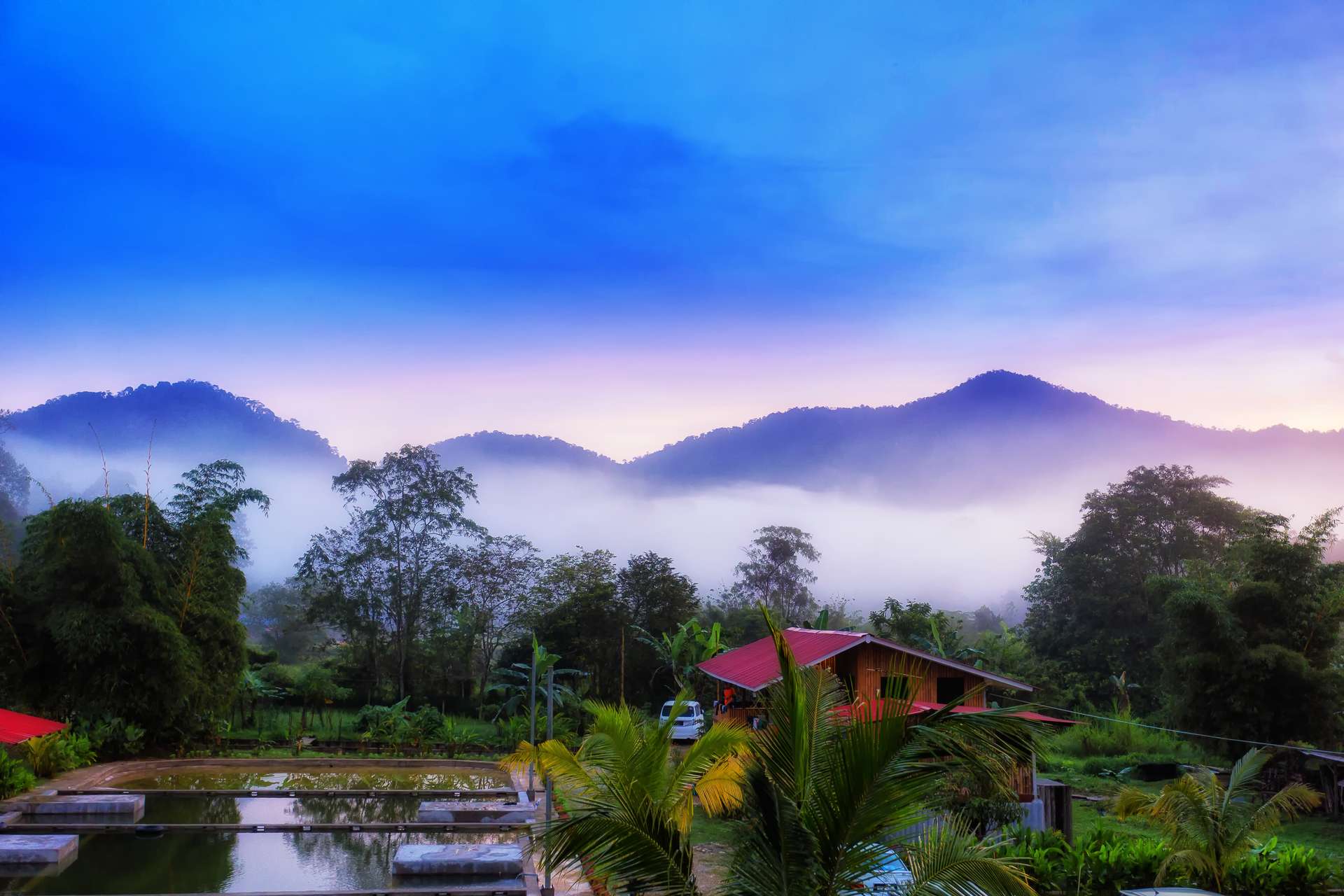 5 Best Hotels and Resorts in Janda Baik for Vacation