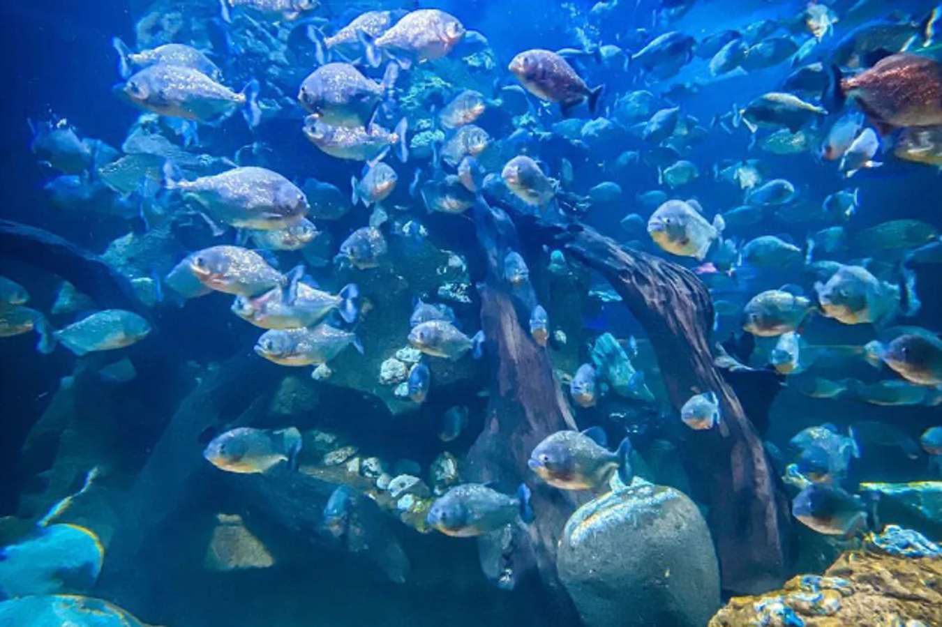 10 Tempat Wisata di Jabodetabek Ramah Anak, Cocok untuk Liburan Keluarga