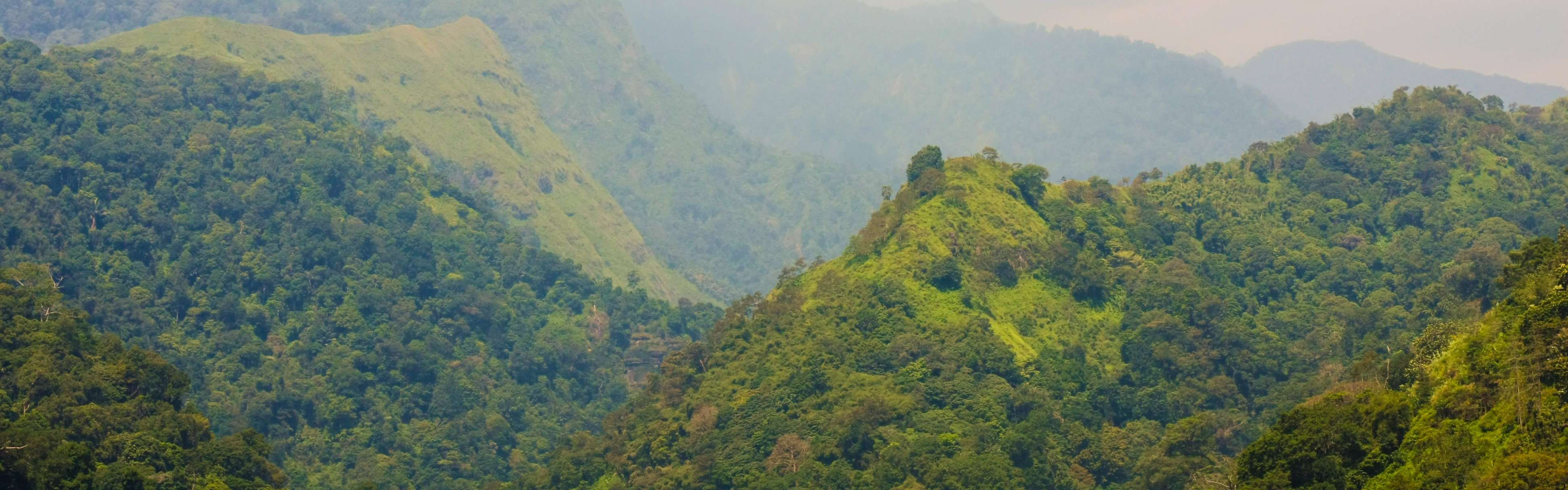 11 Rekomendasi Tempat Wisata di Wonosalam Paling Hits