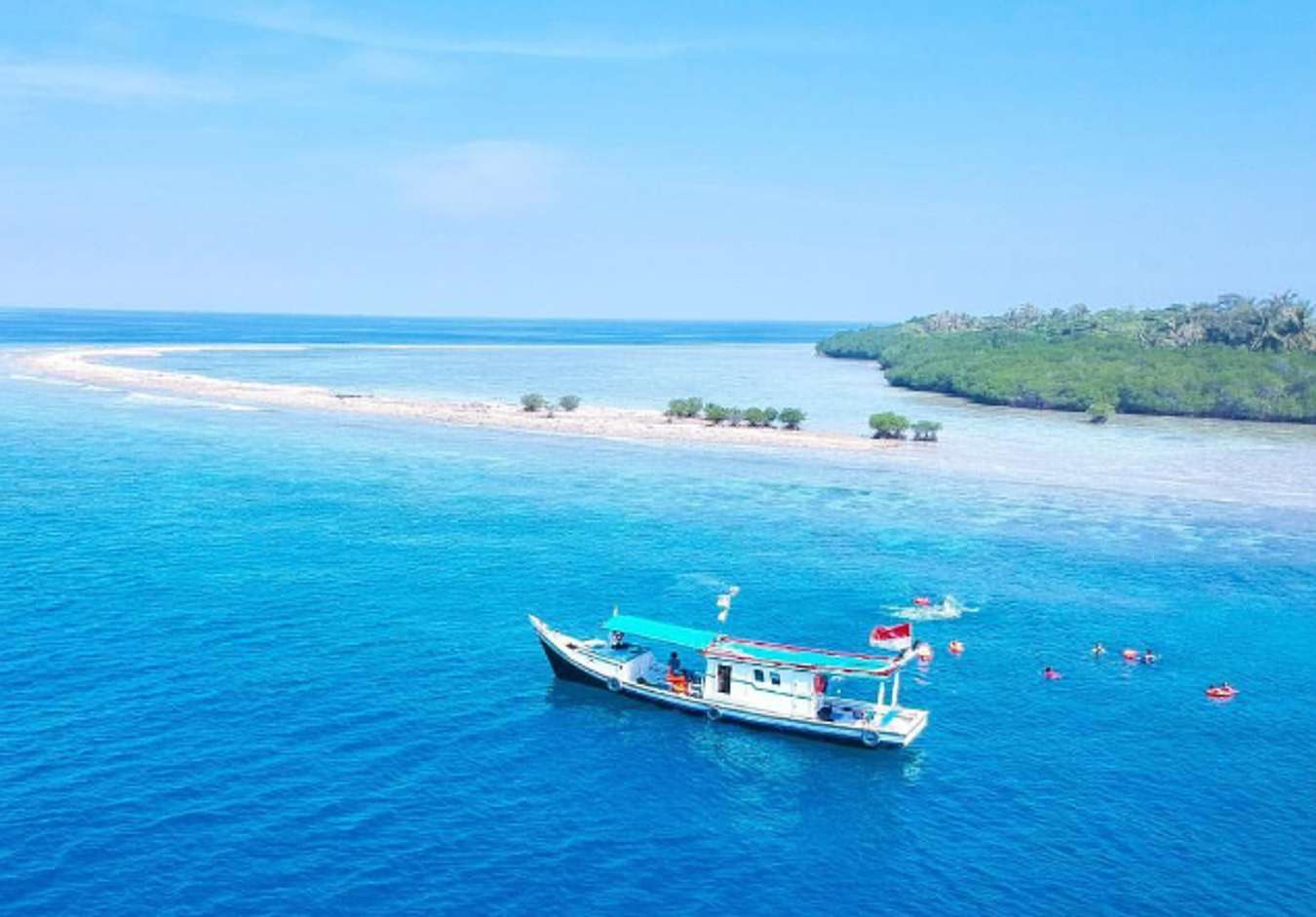 11 Tempat Terbaik Melihat Lumba-Lumba di Perairan Indonesia