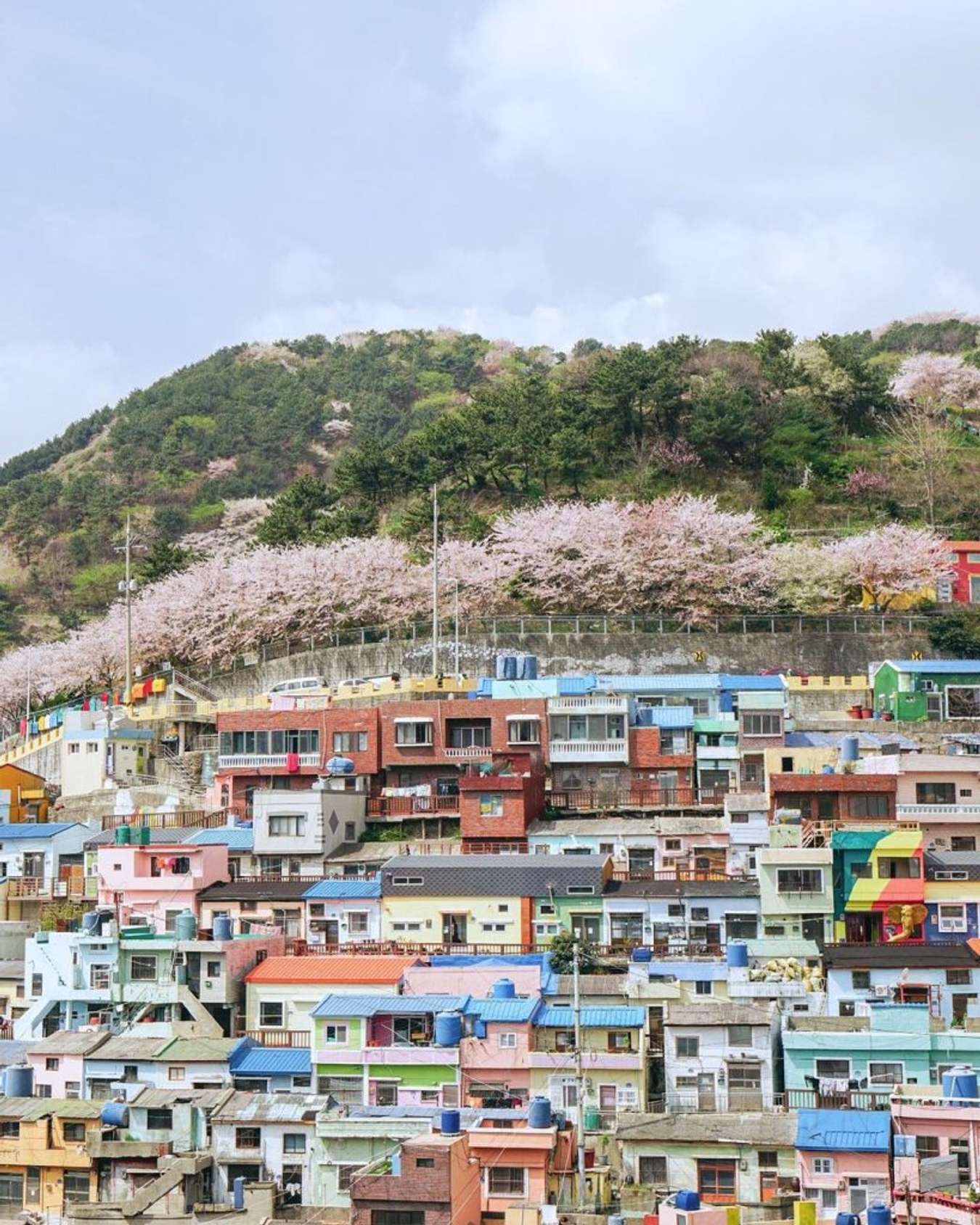 Best Things to Do In Busan and Top Attractions You Can Try