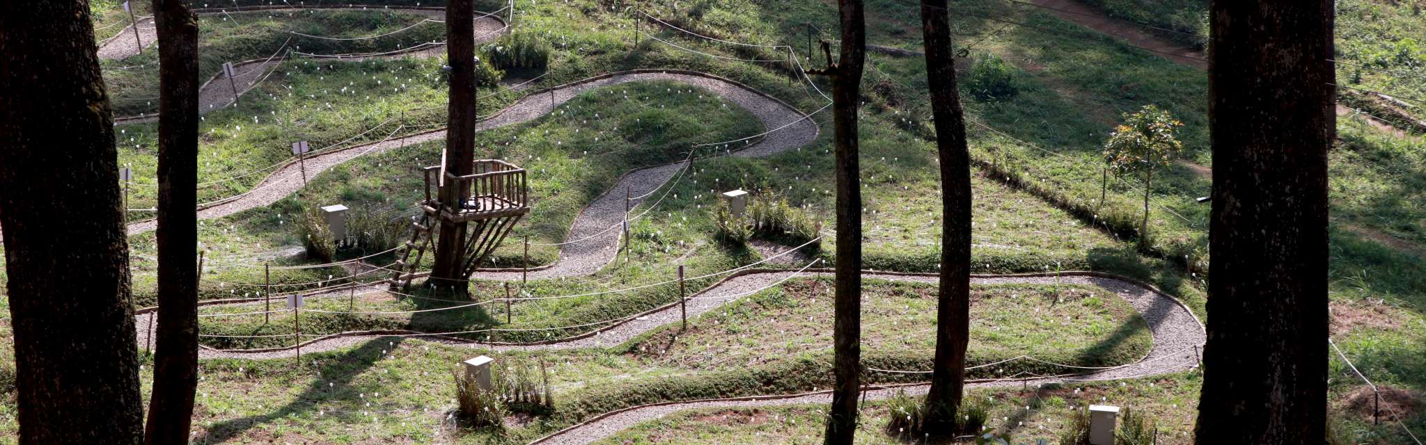 Panduan Berwisata di Orchid Forest Cikole & Pilihan Aktivitas Serunya