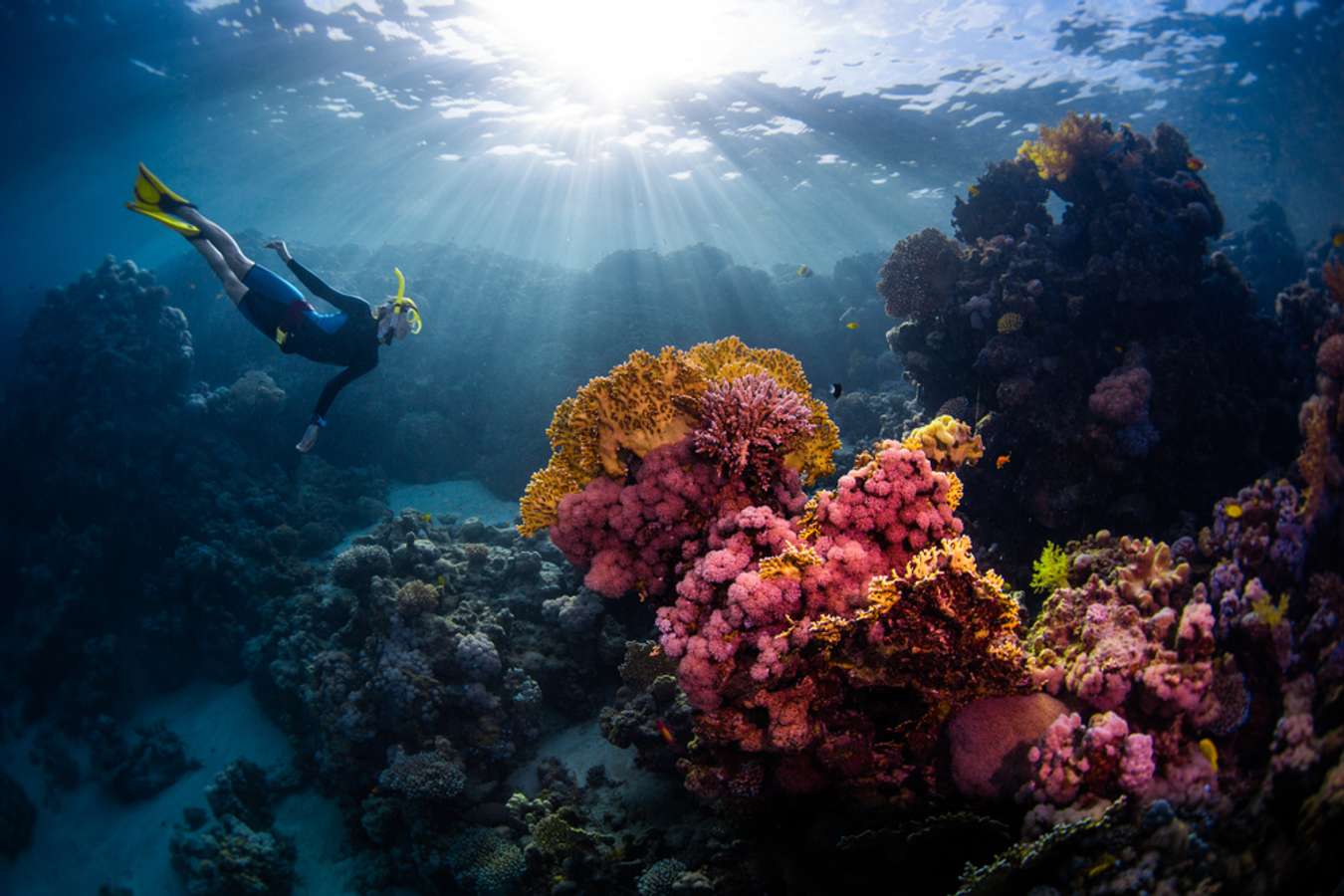 Bỏ túi cẩm nang du lịch Hang Rái mới và chi tiết nhất