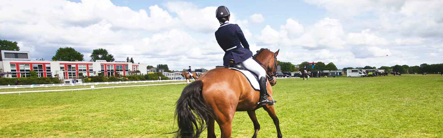 11 Rekomendasi Tempat Berkuda di Sekitar Jakarta