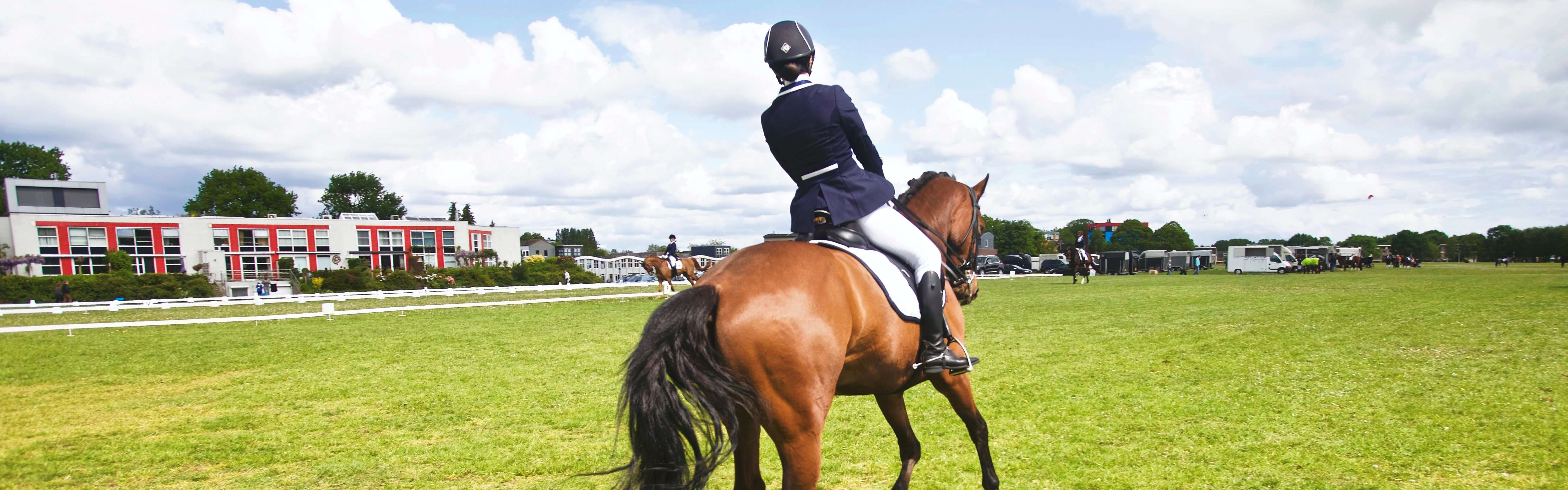 11 Rekomendasi Tempat Berkuda di Sekitar Jakarta