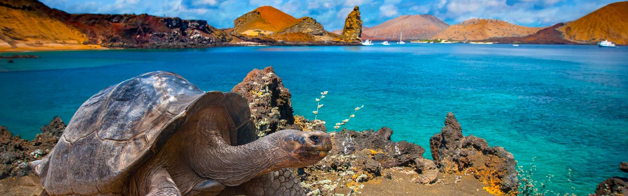 10 Top Ecotourism Destinations in the World