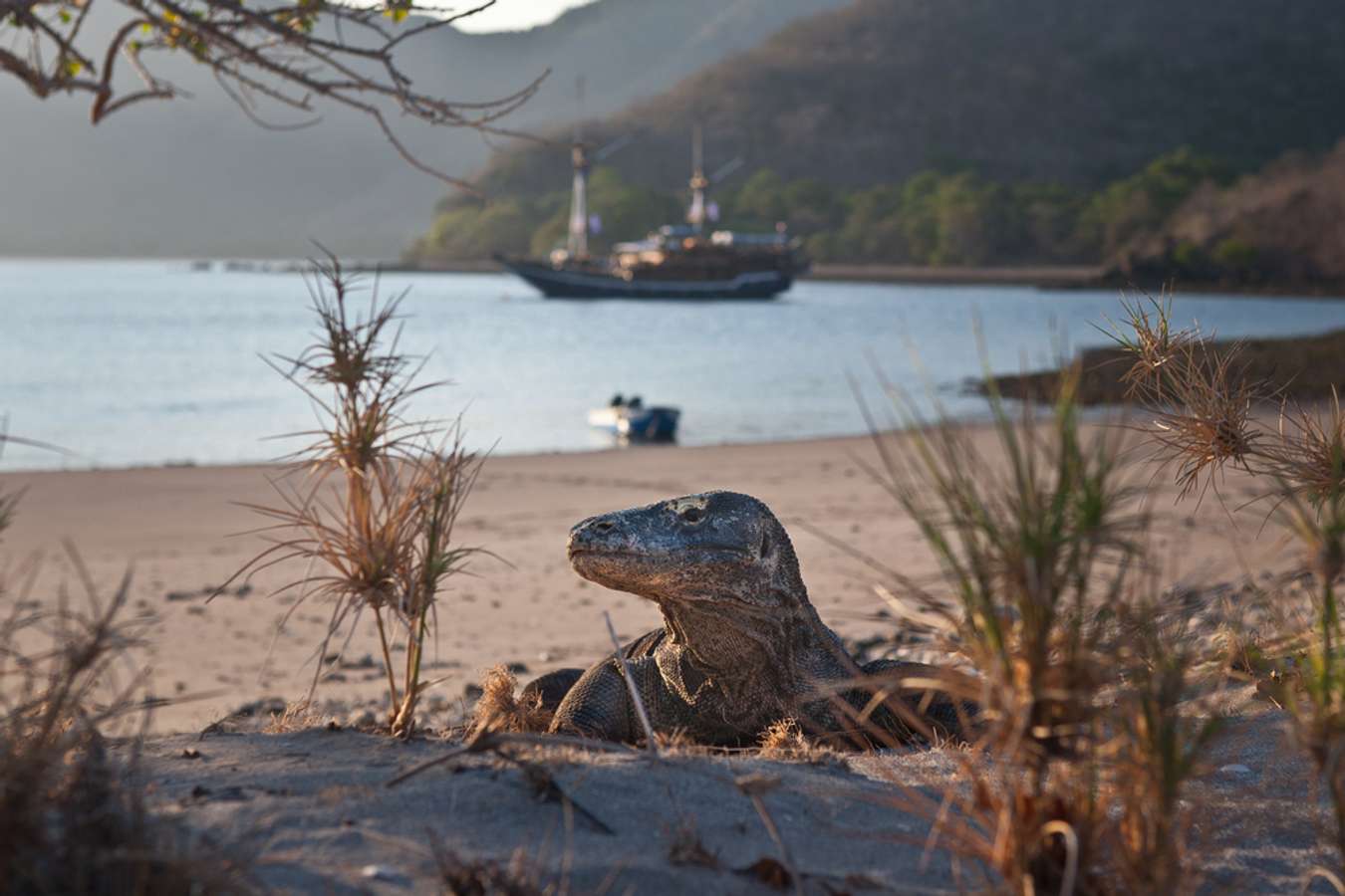 10 Top Ecotourism Destinations in the World