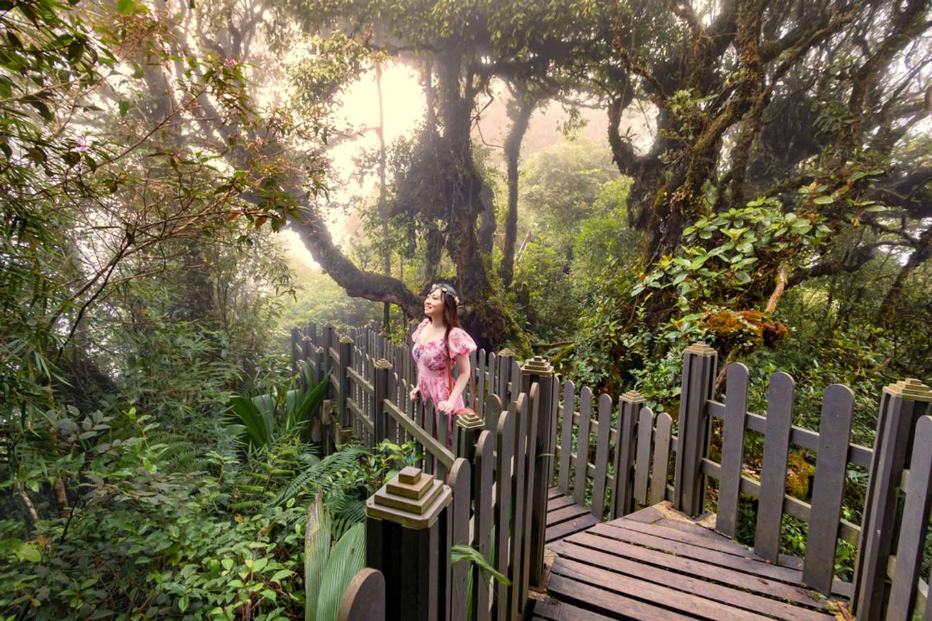 Pahang Travel Guide: Here's What To Do in Pahang for Your Vacation