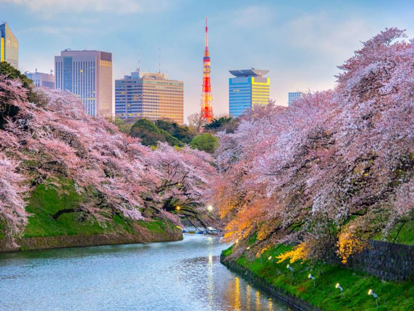 Ueno - Địa điểm du lịch văn hóa nổi tiếng của thủ đô Tokyo
