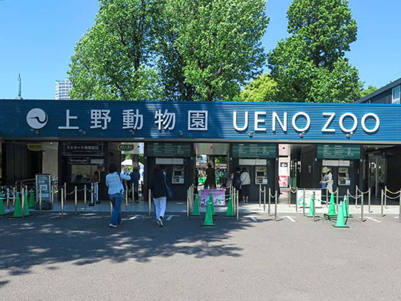 Ueno - Địa điểm du lịch văn hóa nổi tiếng của thủ đô Tokyo