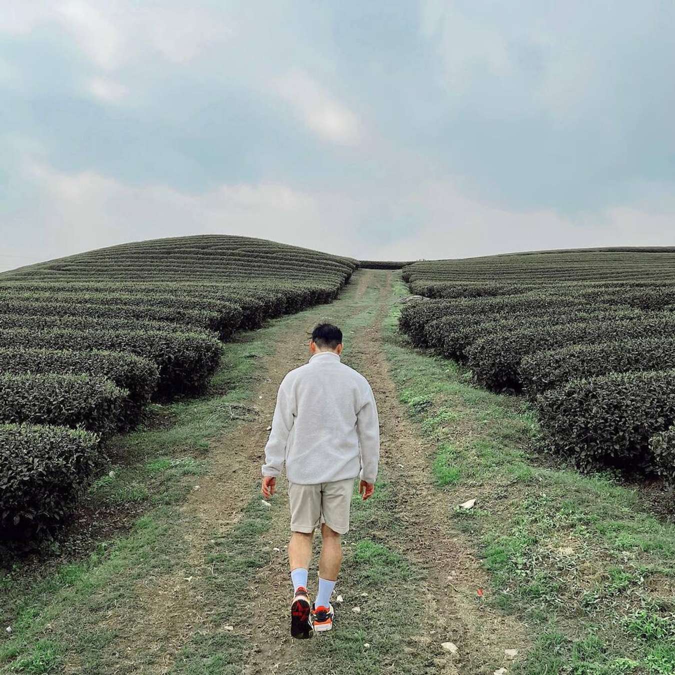 Khám phá khung cảnh mộc châu tuyệt đẹp Với những góc nhìn độc đáo