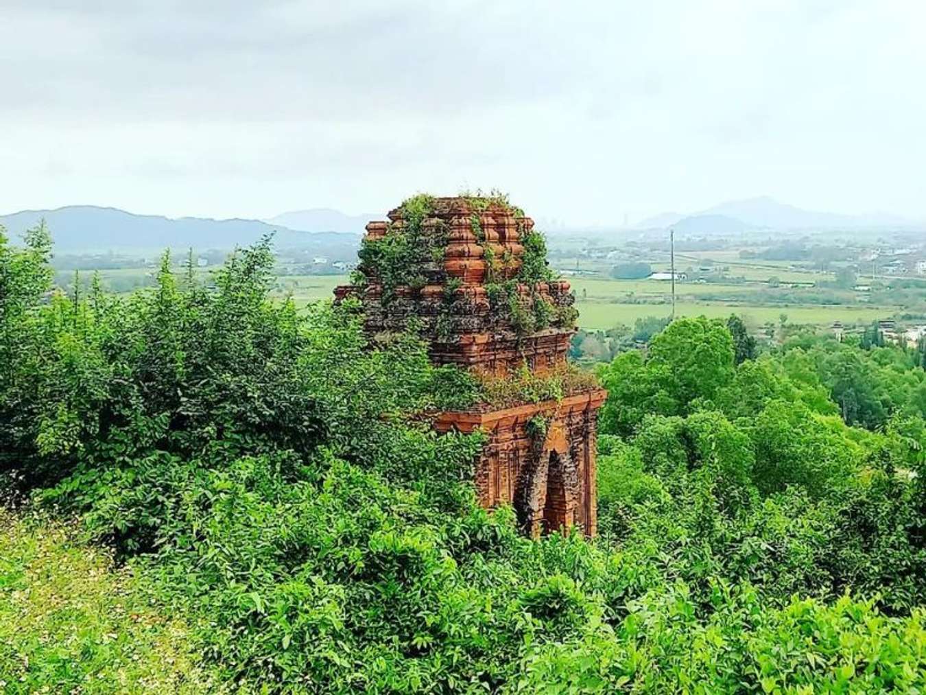 Tháp Bánh Ít: Đẹp kỳ vĩ kiến trúc Chăm pa cổ