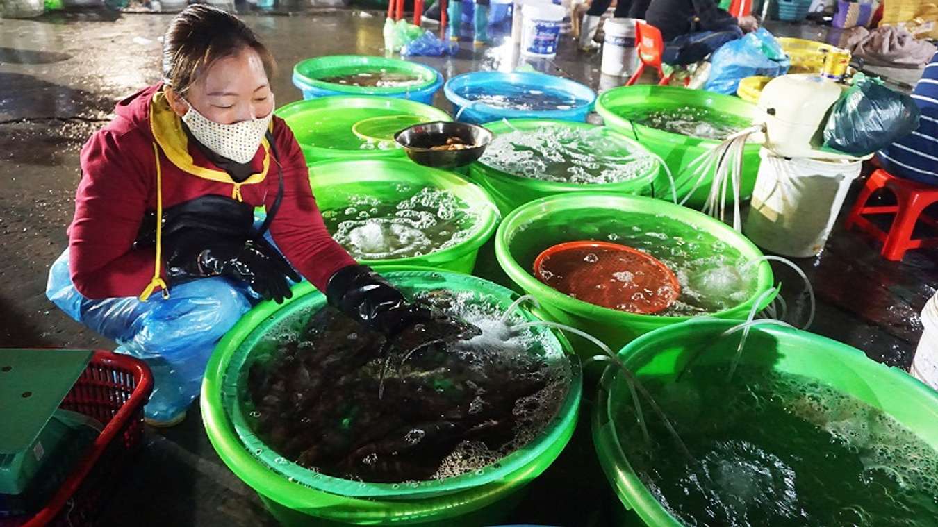 Chợ Hạ Long: Kinh nghiệm khám phá hai khu chợ tại đây