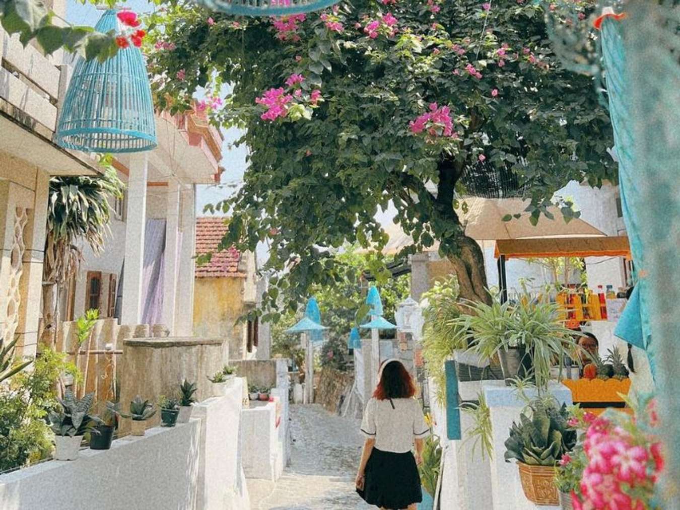 Làng chài Nhơn Lý: Nét đẹp mộng mơ nơi làng chài ven biển