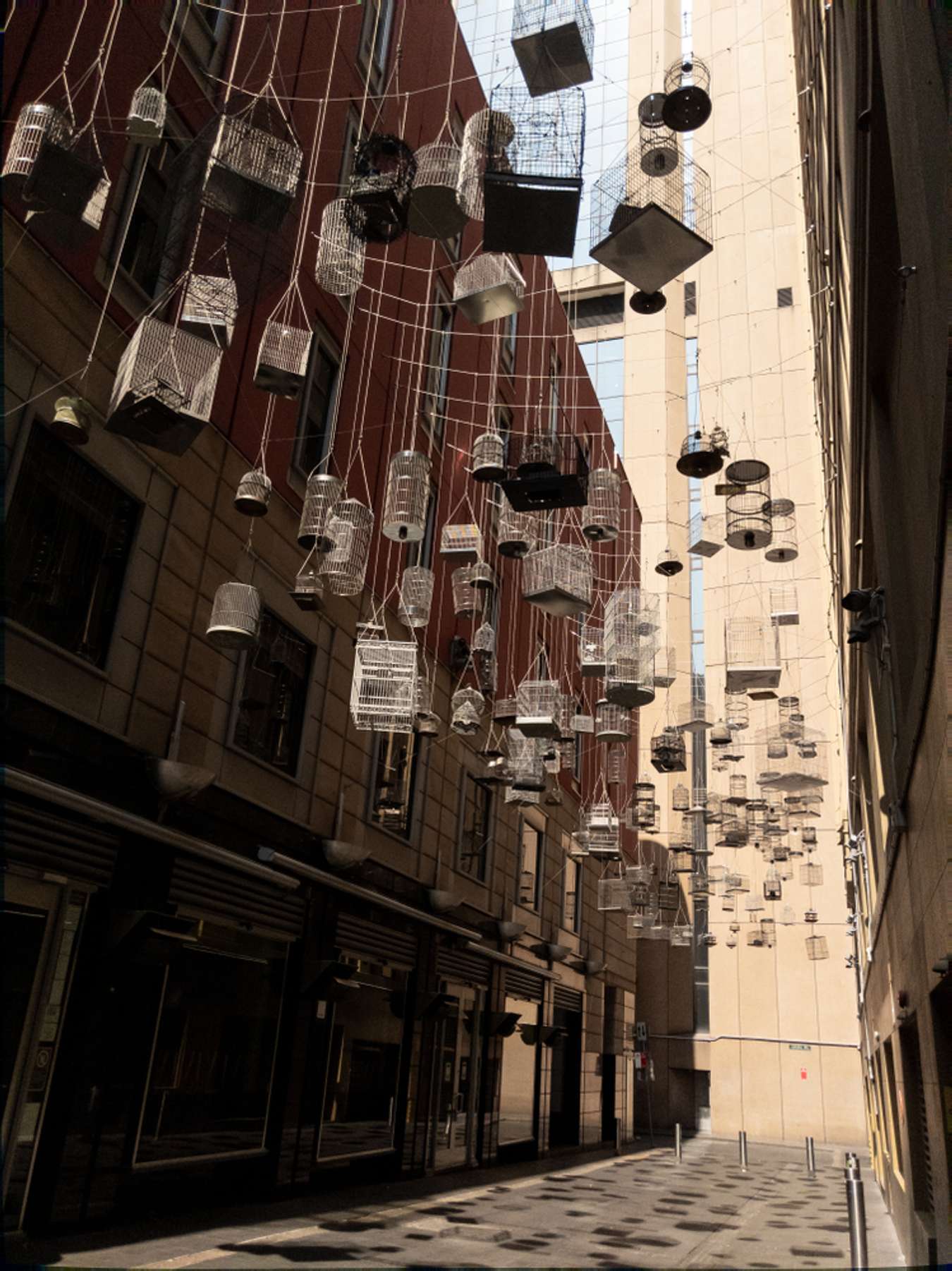 6 Tempat Wisata di Sydney Hidden Gem & Anti-Mainstream