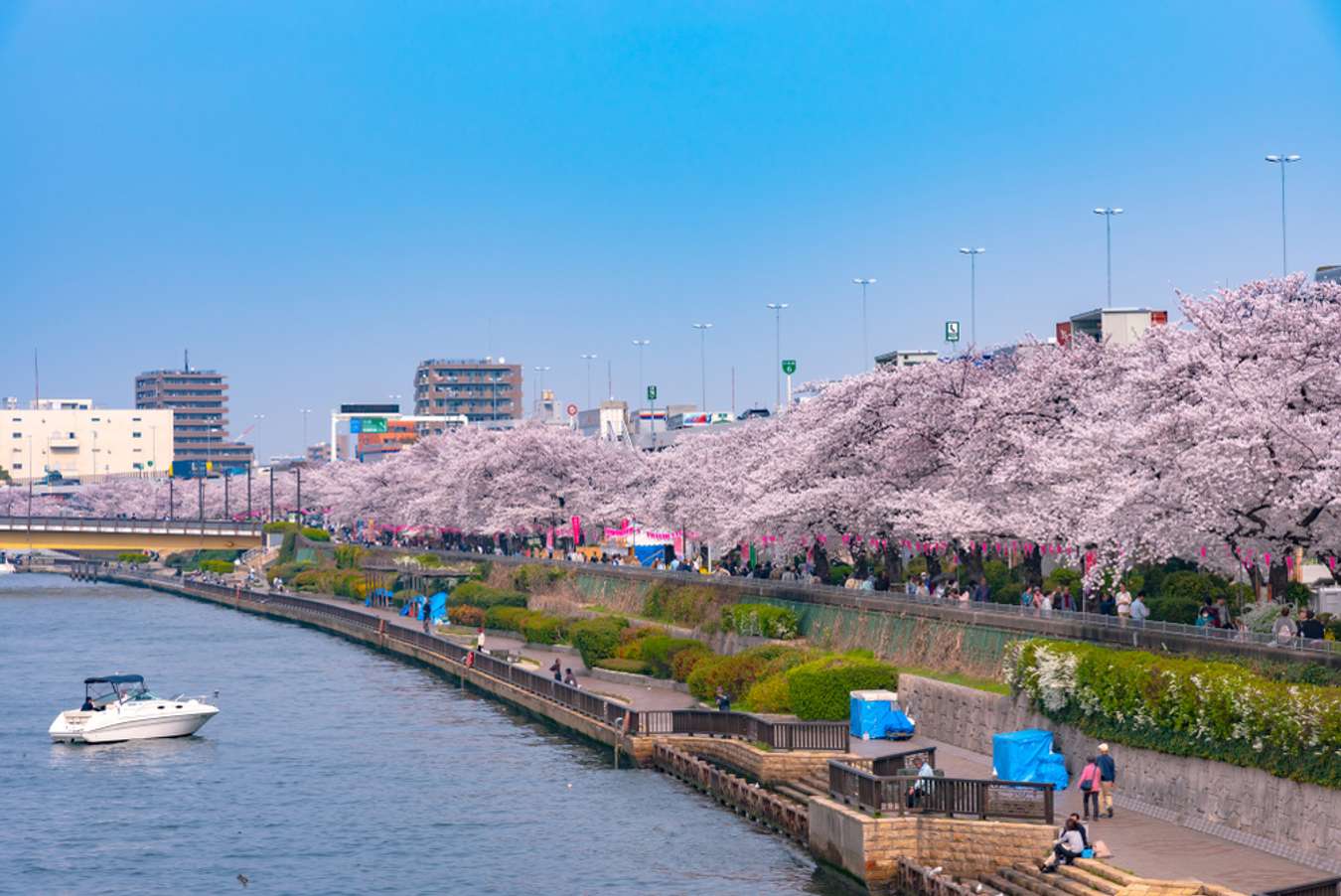 Sumida River | สถานที่ท่องเทียว