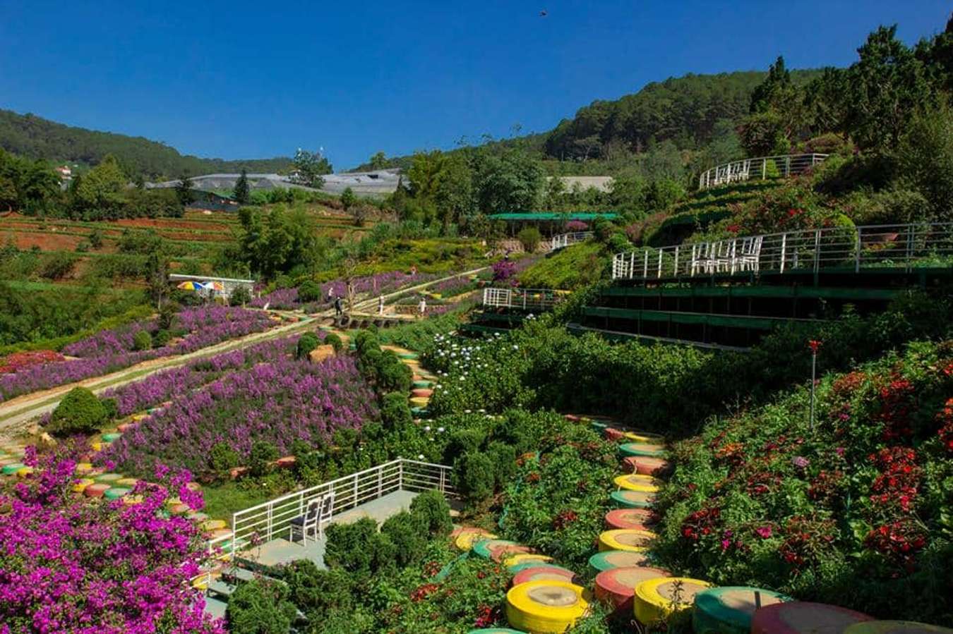 Quê Garden: khám phá “Nhật Bản thu nhỏ” trong lòng Đà Lạt