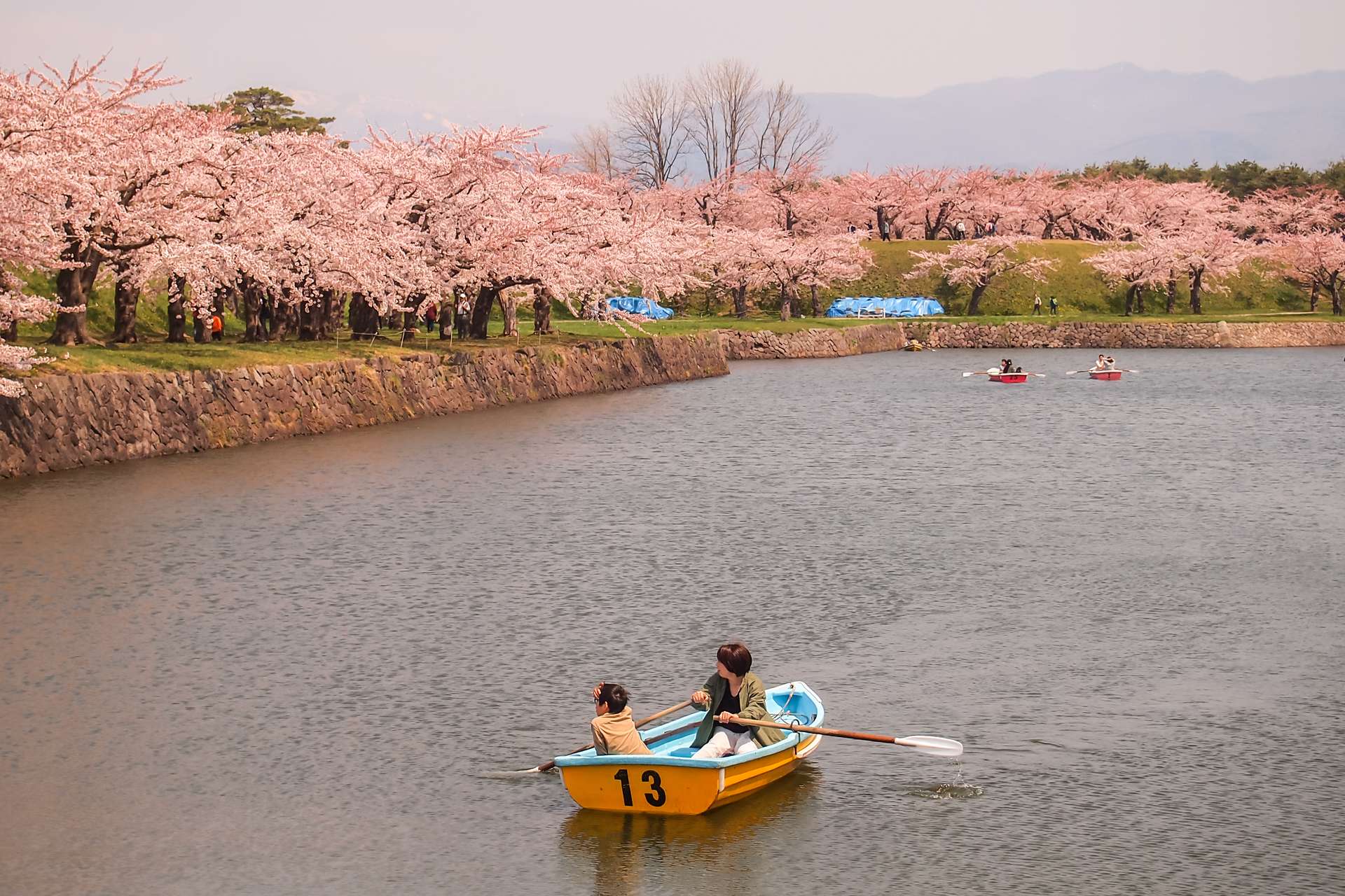 Spring in Hokkaido: 5D4N Itinerary to Enjoy Cherry Blossom in Hokkaido