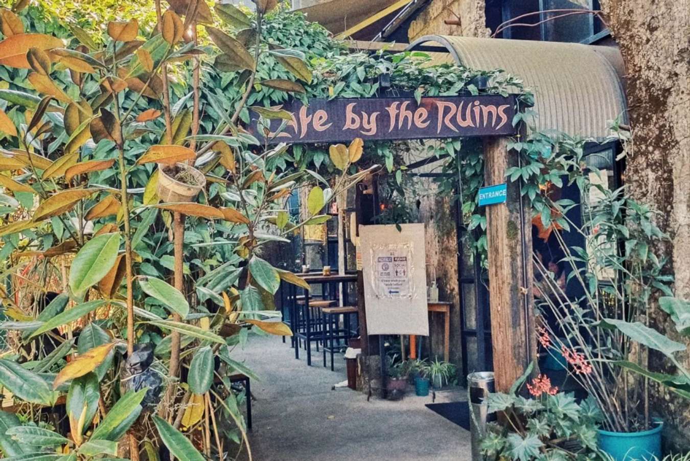 Discover the Magic of Baguio: An Exciting Journey to the Top Tourist ...