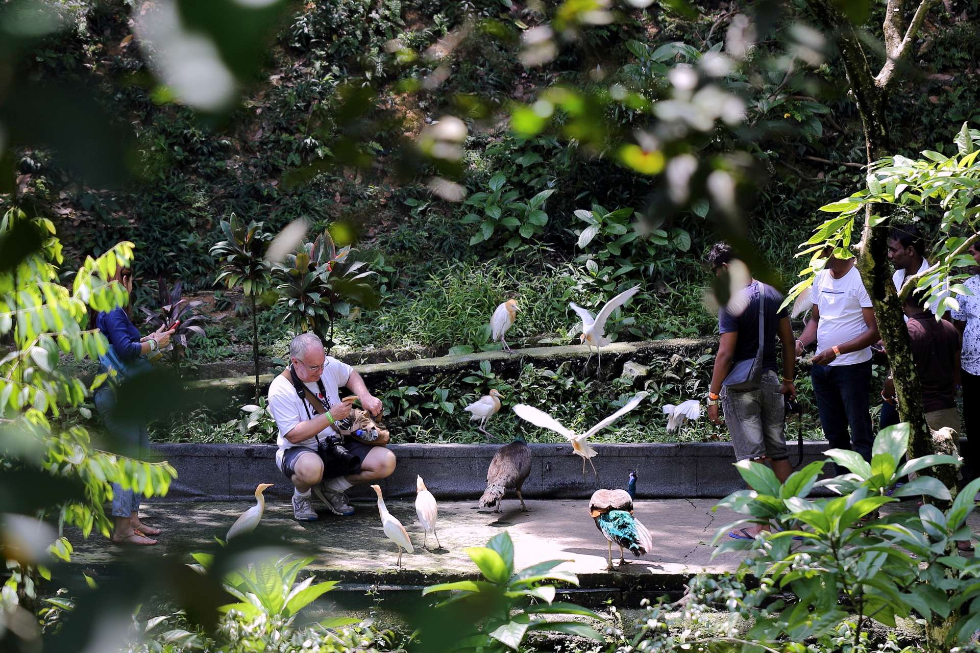 Top 11 Zoos in Malaysia to Take Your Kids: A Guide for Families