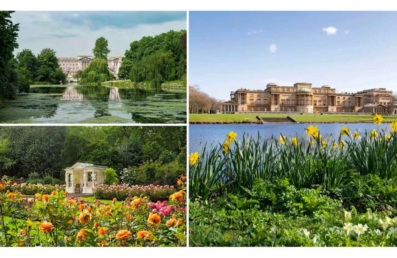 Bỏ túi kinh nghiệm tham quan Cung điện Hoàng gia Anh