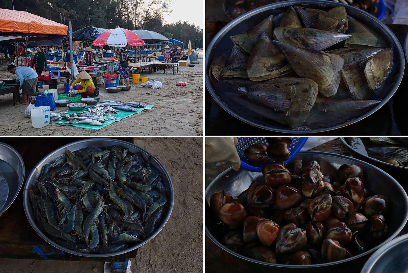 Ngày hè ở Coco Beachcamp Lagi Bình Thuận