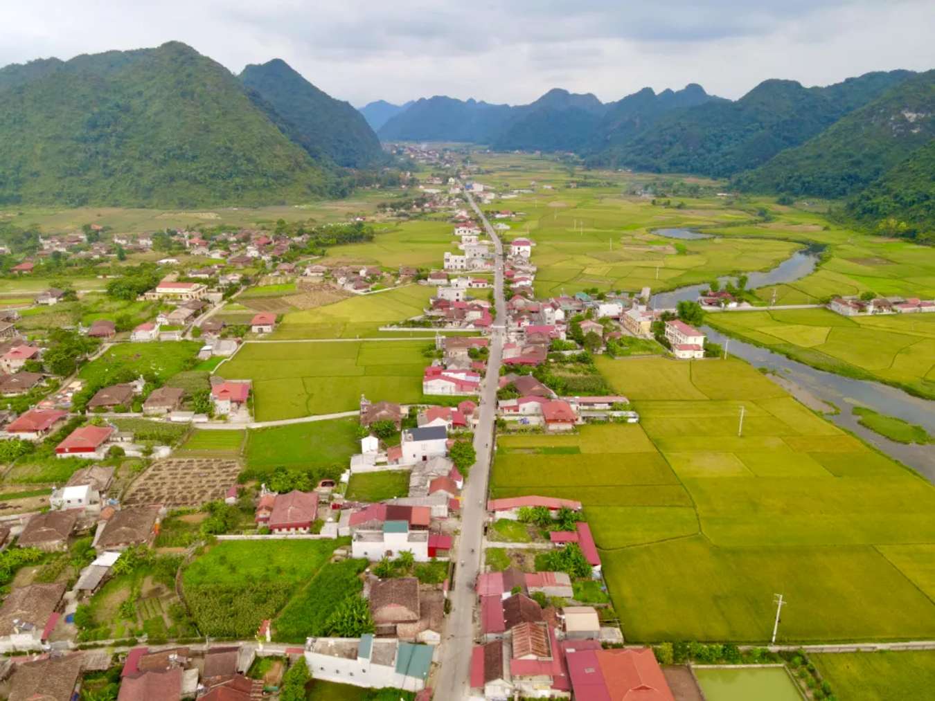 Đỉnh Nà Lay - Đi tìm “Phượng hoàng Bắc Sơn” nổi tiếng