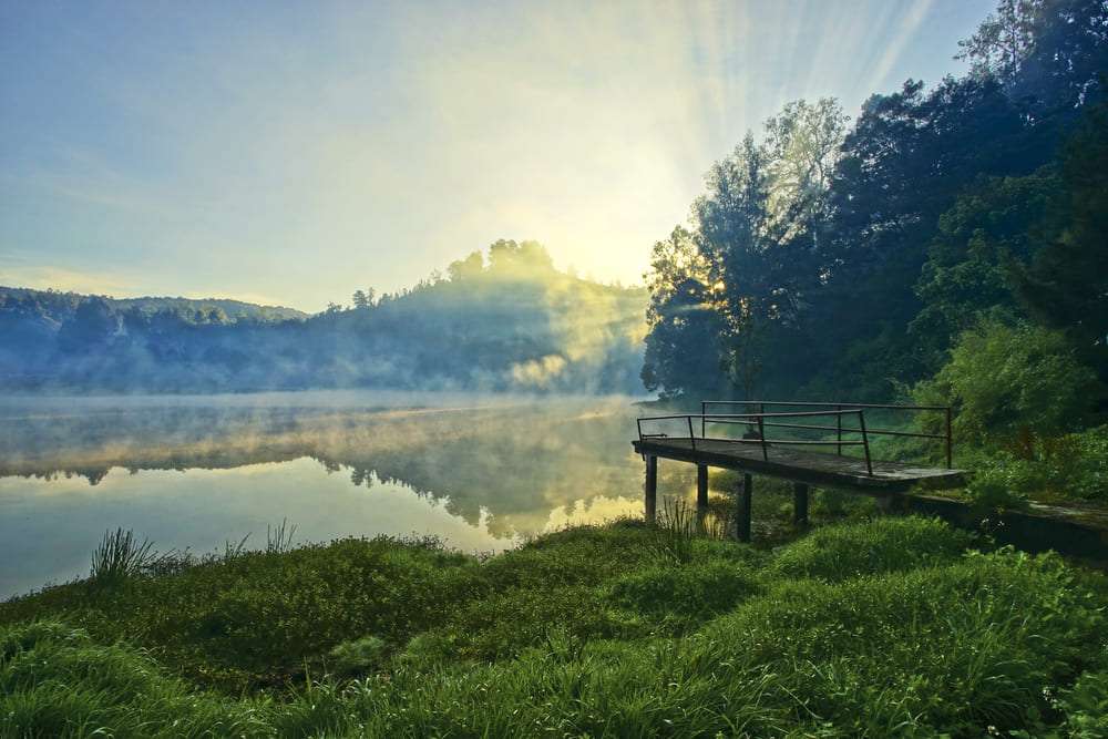 Wisata Ranu Pane: Update Lokasi, Rute, Harga Tiket, dan Spot Foto 2023!