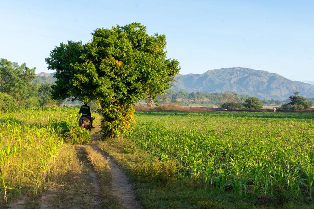 Abra Uncovered: Must-Visit Tourist Destinations and Spots
