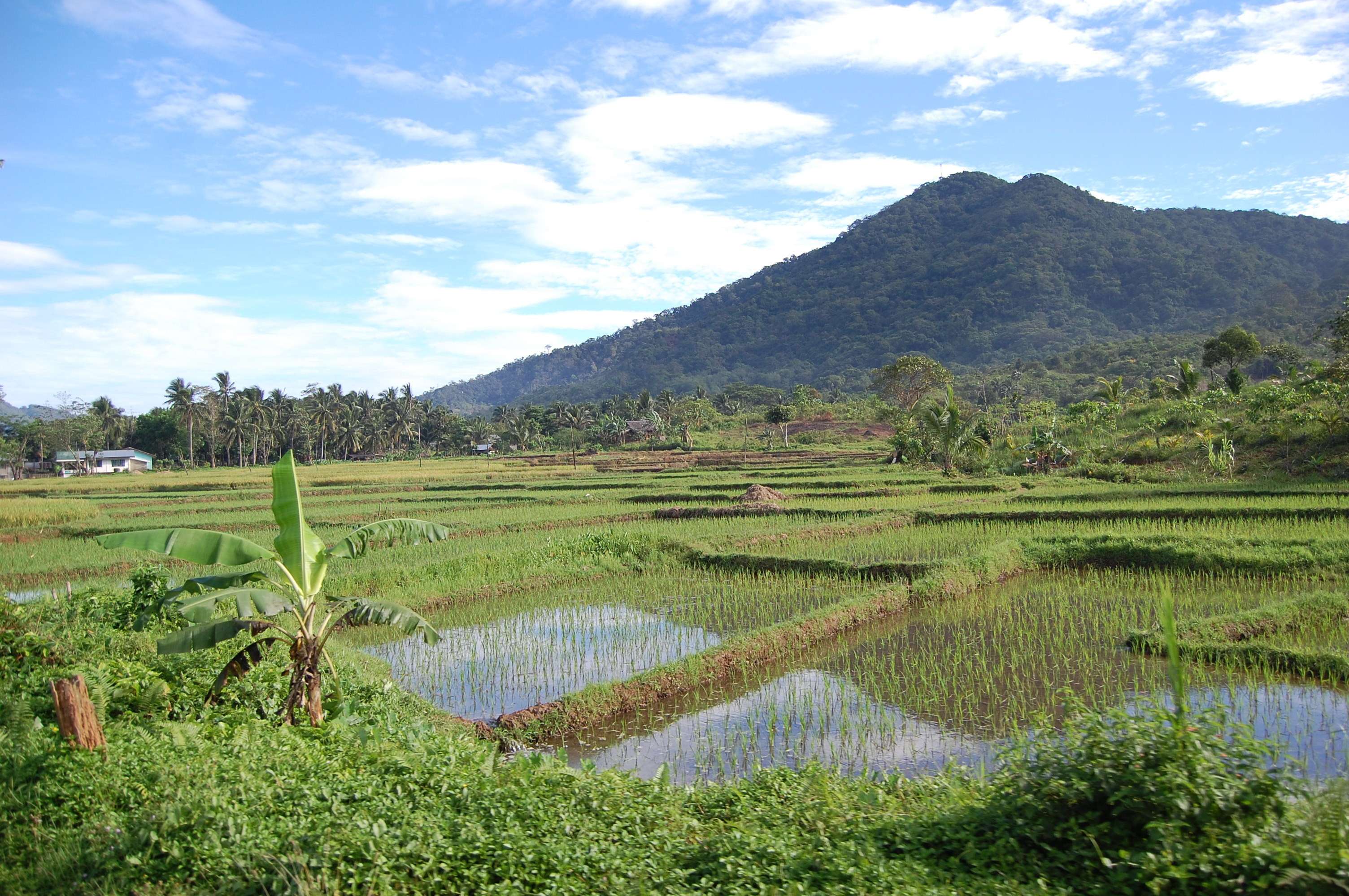 Discover Claveria's Enchanting Must-Visit Tourist Destinations