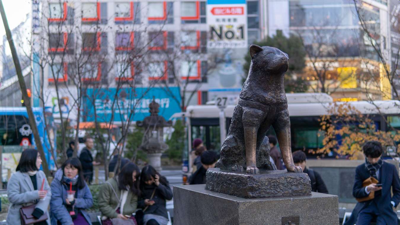 Hidden Gems of Shibuya: 15 Must-Visit Spots for Singaporeans