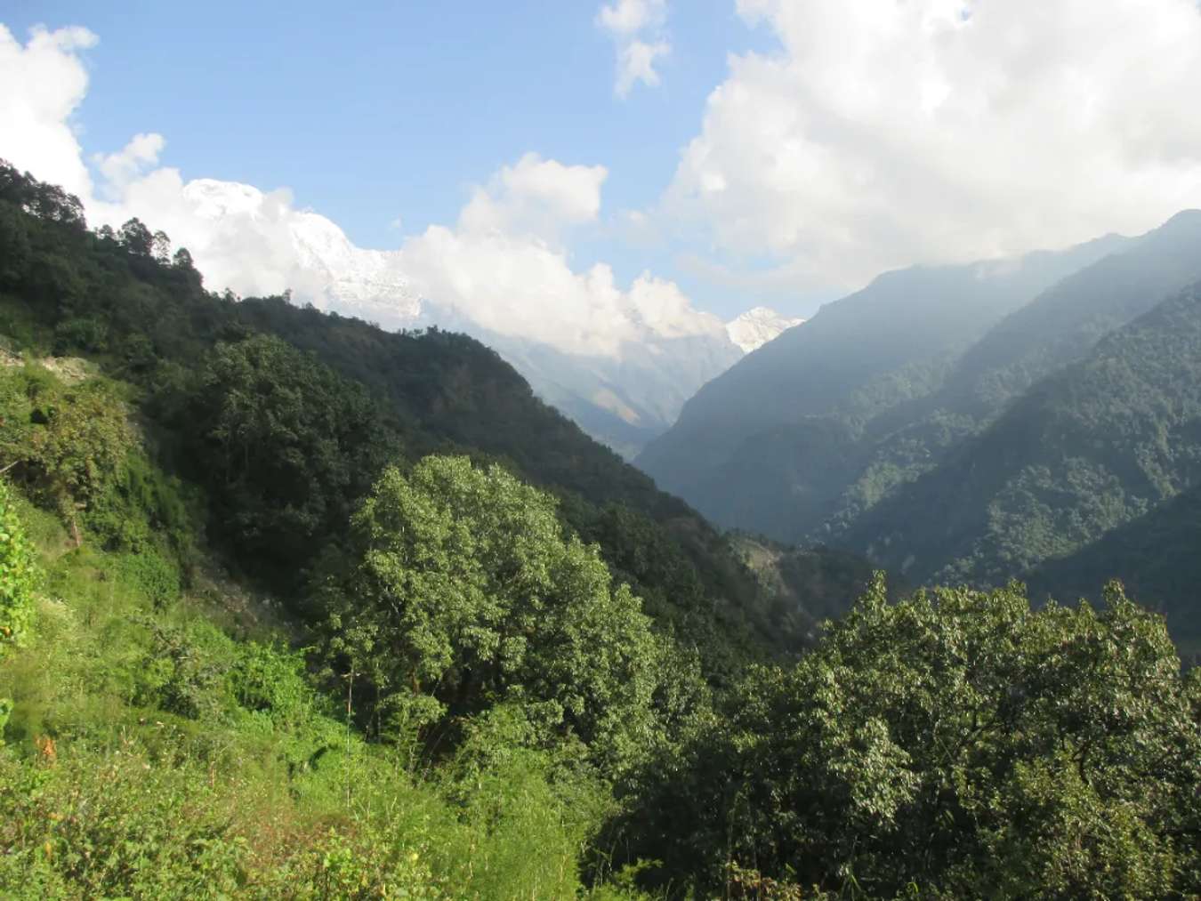 Khám phá thiên nhiên và văn hóa ở Ghandruk và Kimche - Nepal