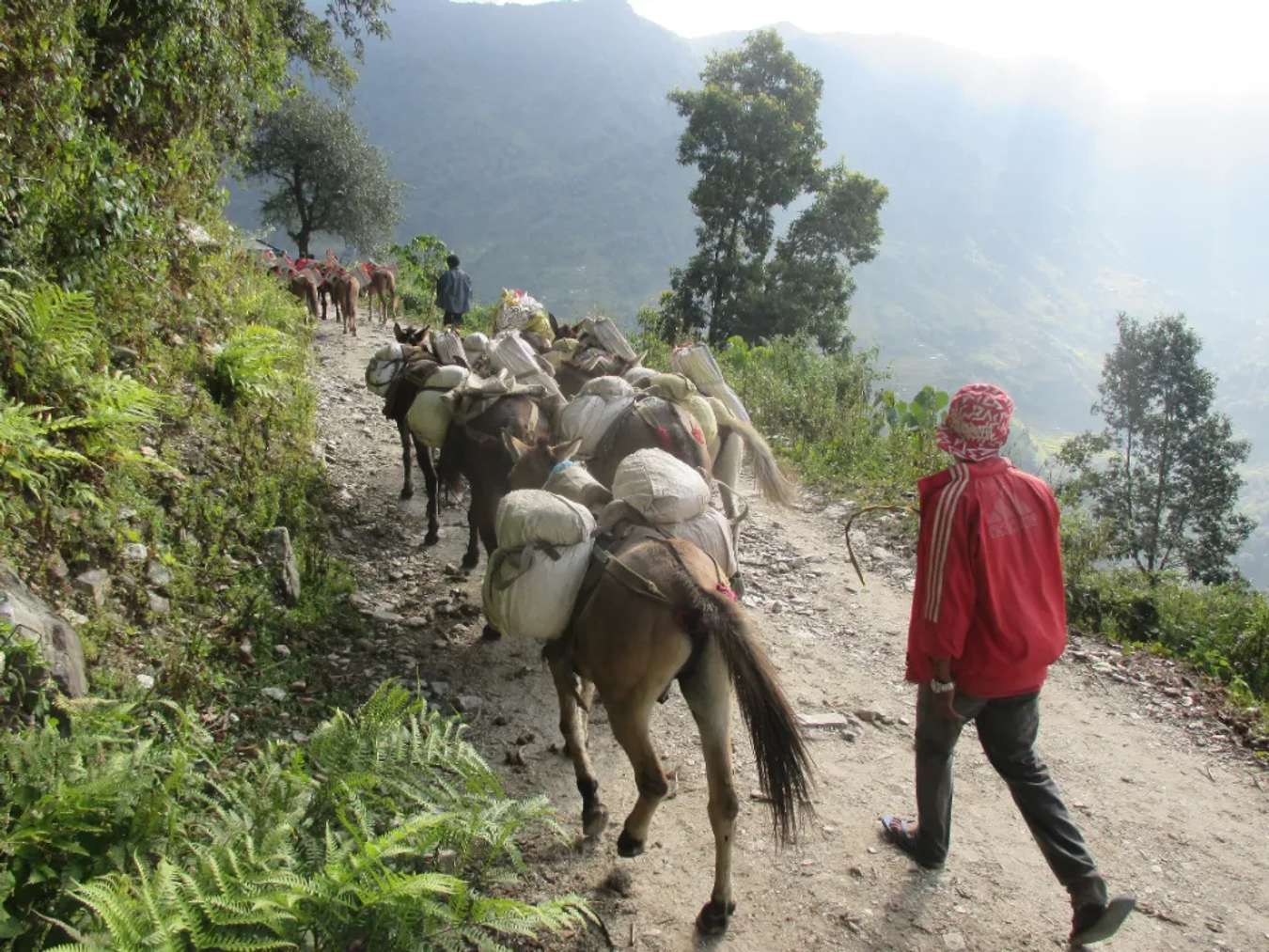 Khám phá thiên nhiên và văn hóa ở Ghandruk và Kimche - Nepal