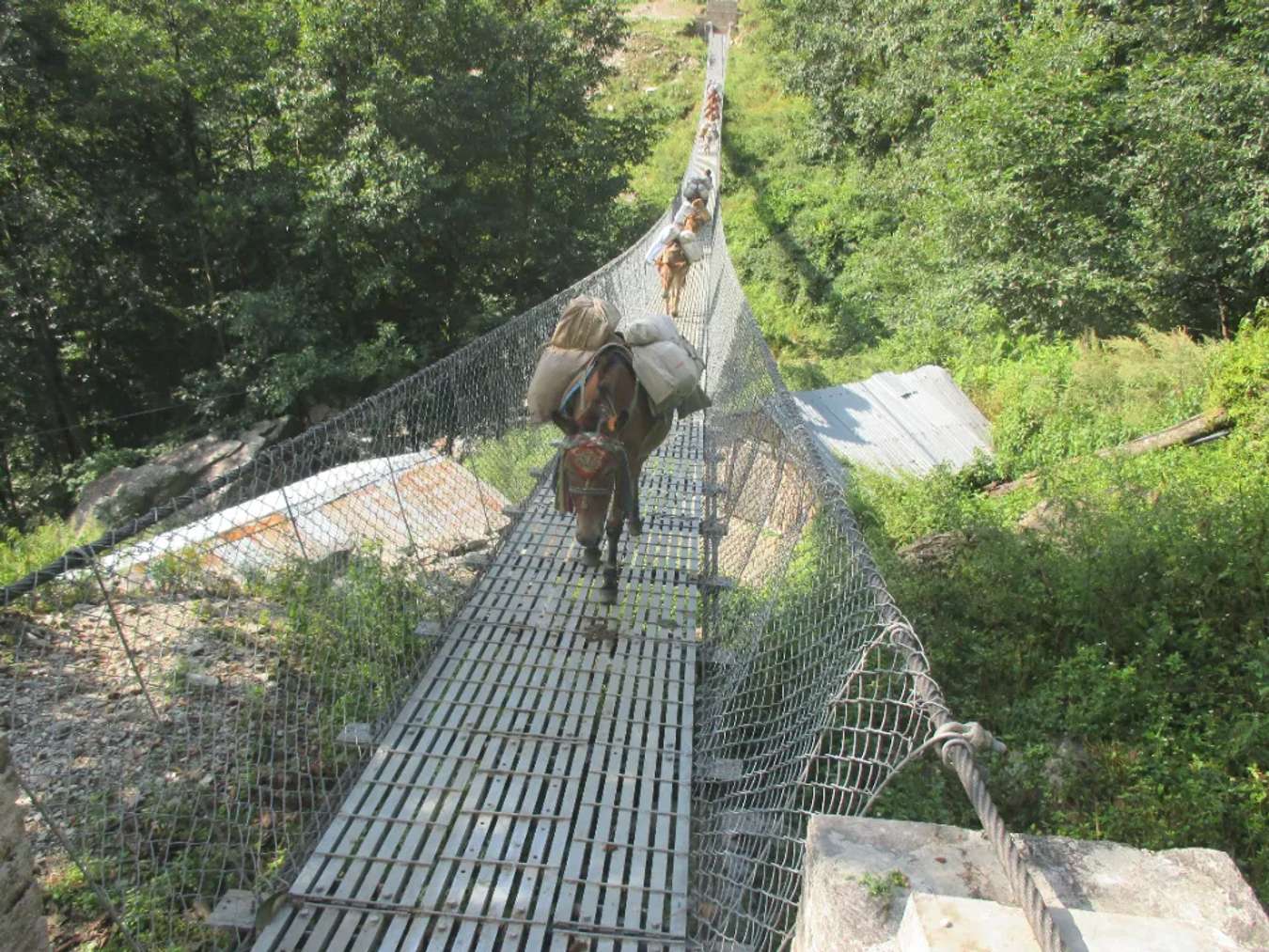 Khám phá thiên nhiên và văn hóa ở Ghandruk và Kimche - Nepal