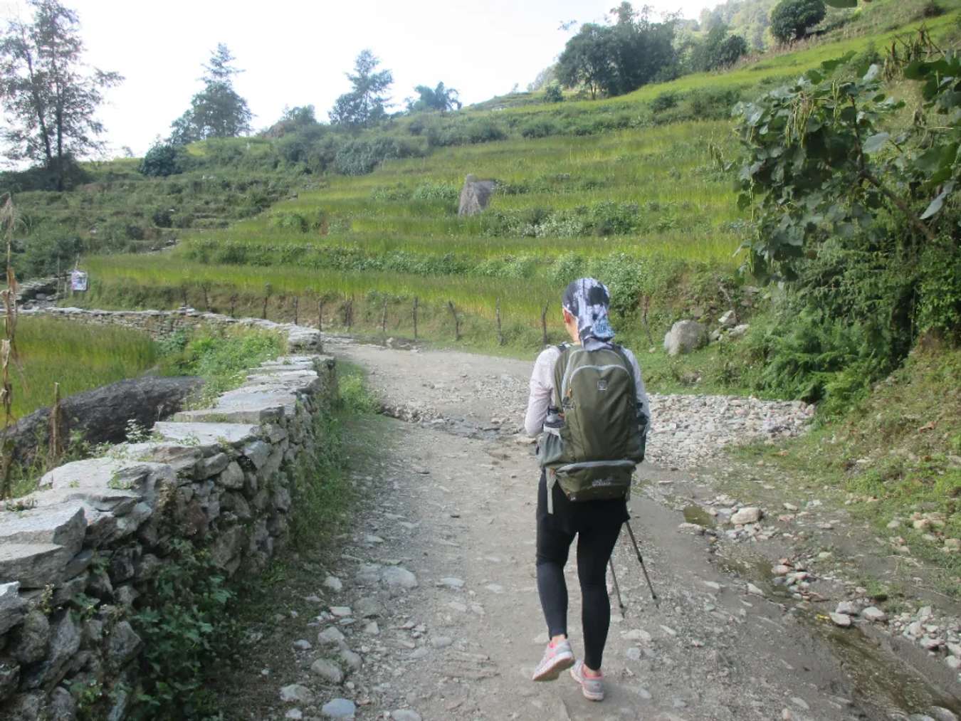 Khám phá thiên nhiên và văn hóa ở Ghandruk và Kimche - Nepal