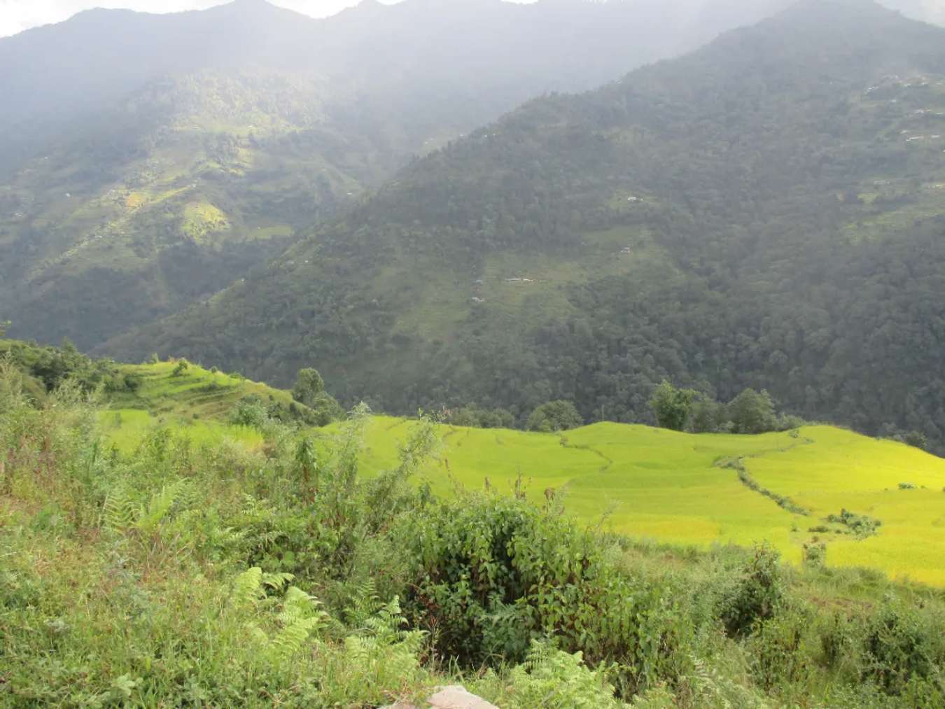 Khám phá thiên nhiên và văn hóa ở Ghandruk và Kimche - Nepal