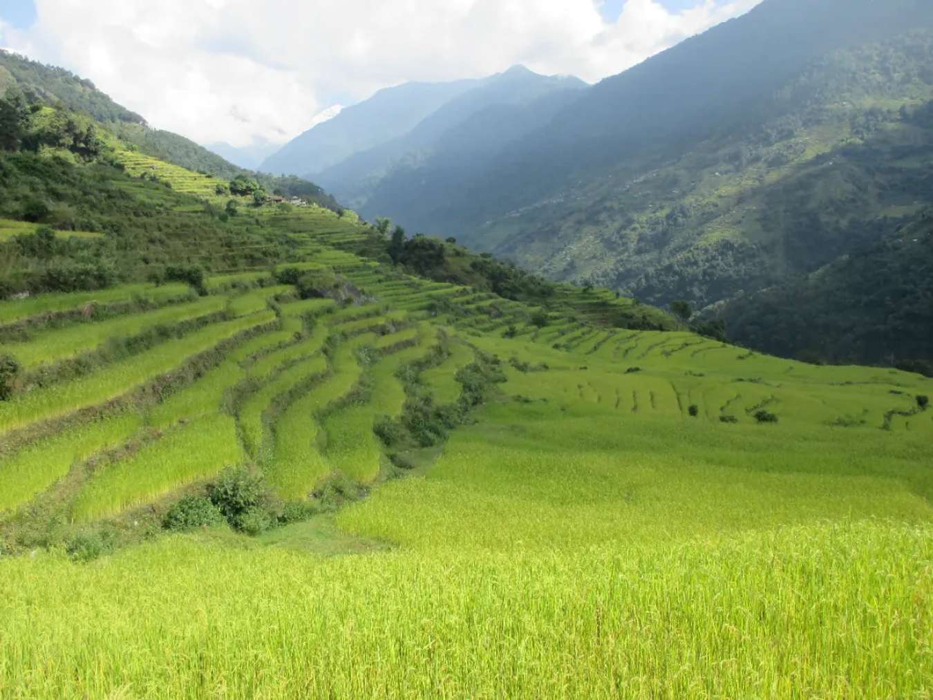 Khám phá thiên nhiên và văn hóa ở Ghandruk và Kimche - Nepal