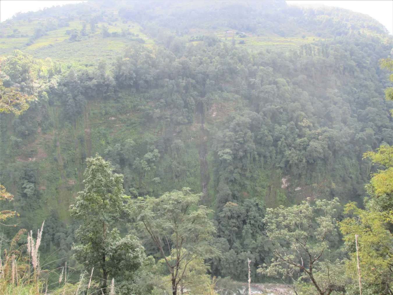 Khám phá thiên nhiên và văn hóa ở Ghandruk và Kimche - Nepal